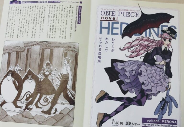 One Piece Magazine Volume 11 Showcases Everyday Life Story of Mihawk ...
