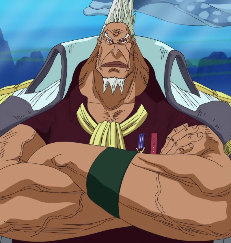 Top 10 Most Powerful One Piece Old Man Characters Ranked - OtakusNotes