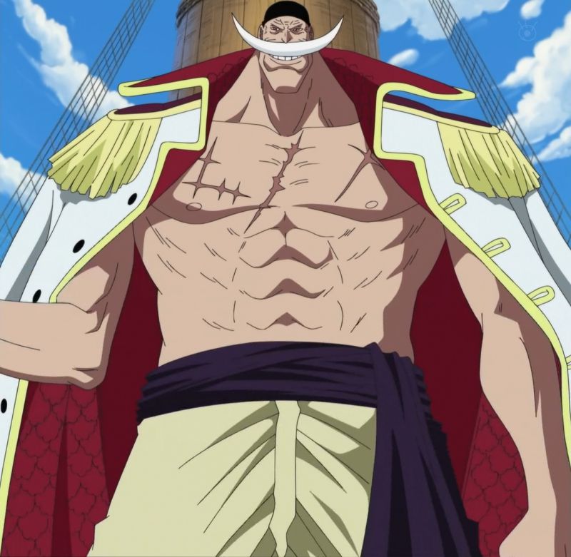 Top 10 Most Powerful One Piece Old Man Characters Ranked - OtakusNotes