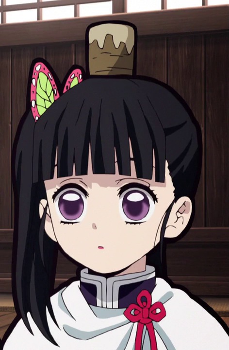 Top 10 Cute Demon Slayer Girls Ranked - OtakusNotes