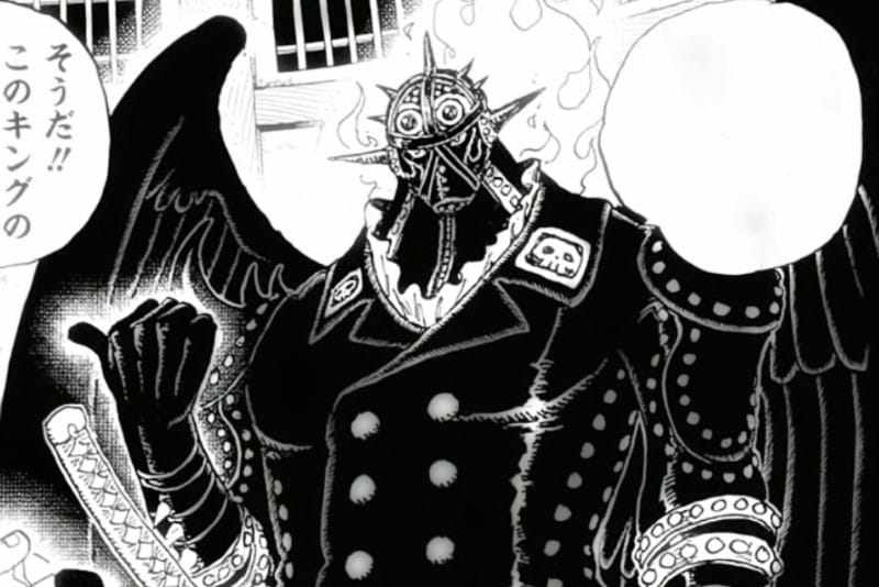 How Strong is King? (One Piece) | Power Comparison, History, Race ...