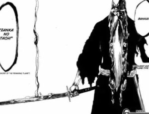 Top 13 Strongest Bankai in Bleach (2023) | Manga - OtakusNotes