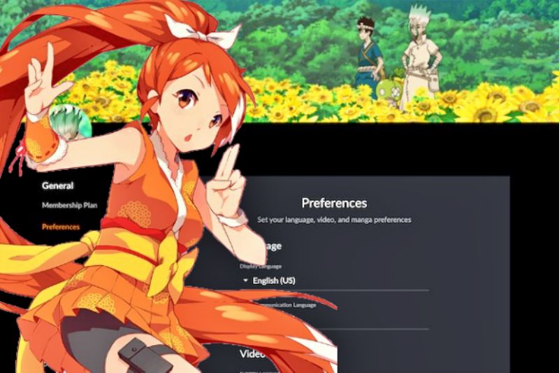 Can You Make Multiple Profiles On Crunchyroll OtakusNotes