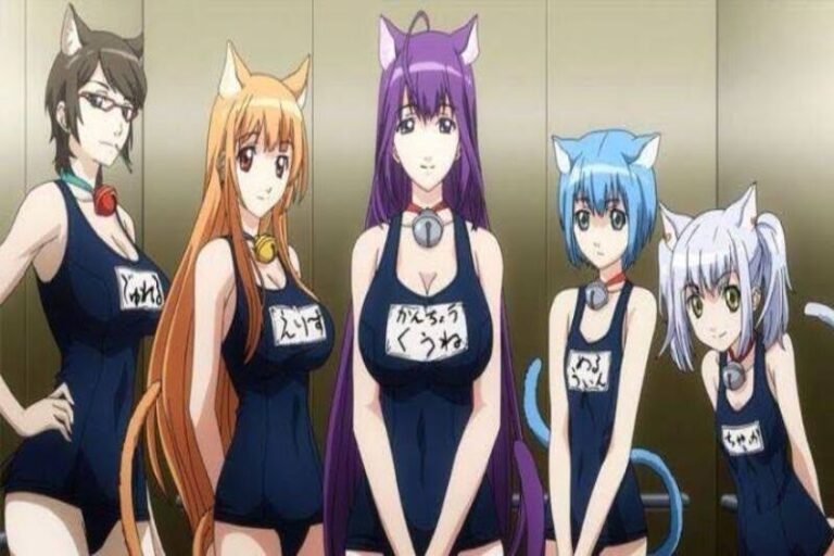 55+ Best Harem Anime Ranked | 2025 - OtakusNotes