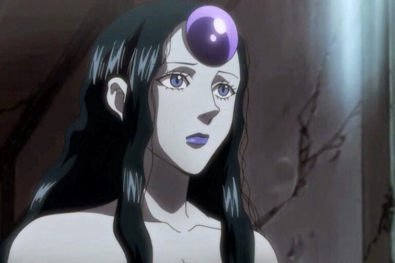 Top 10 Hottest HunterxHunter Female Characters - OtakusNotes